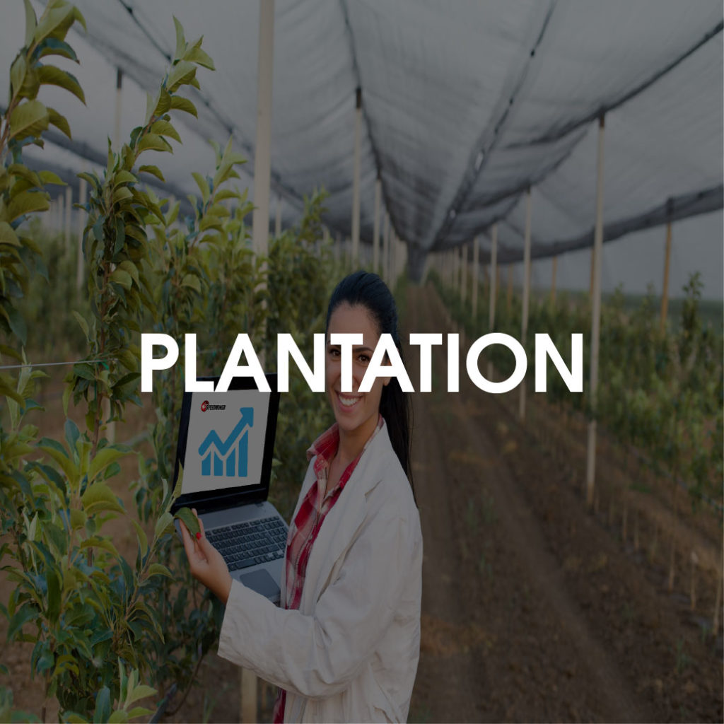 Speedminer – Looking Into The Future